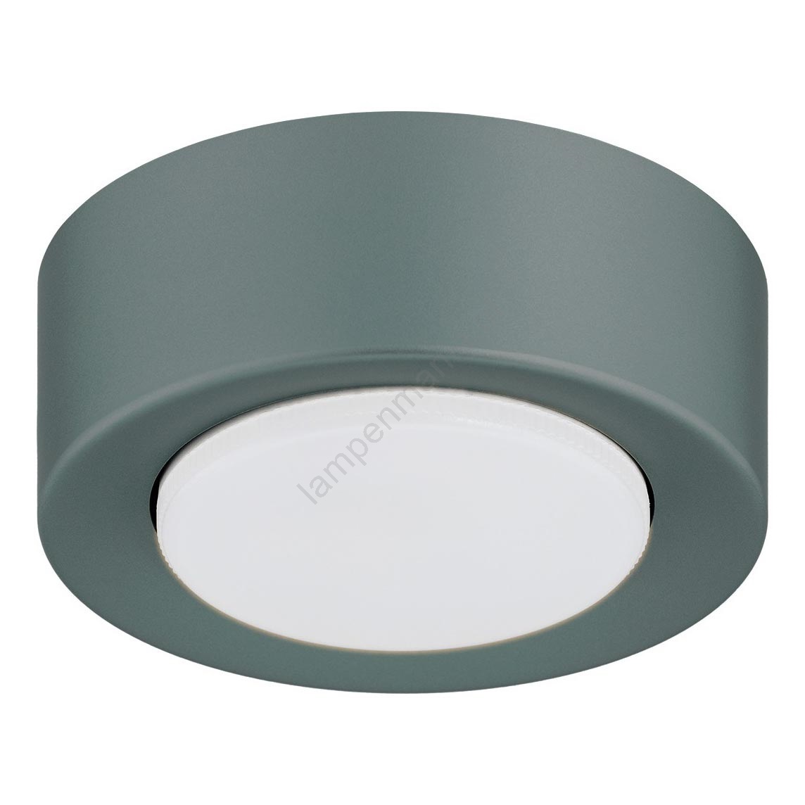 Argon 8917 - Plafondlamp ELORA 1xGX53/7W/230V Ø 11 cm grijs | Lampenmanie