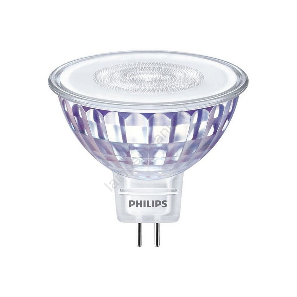 LED Lamp dimbaar Philips GU5,3/5W/12V 2200-2700K | Lampenmanie