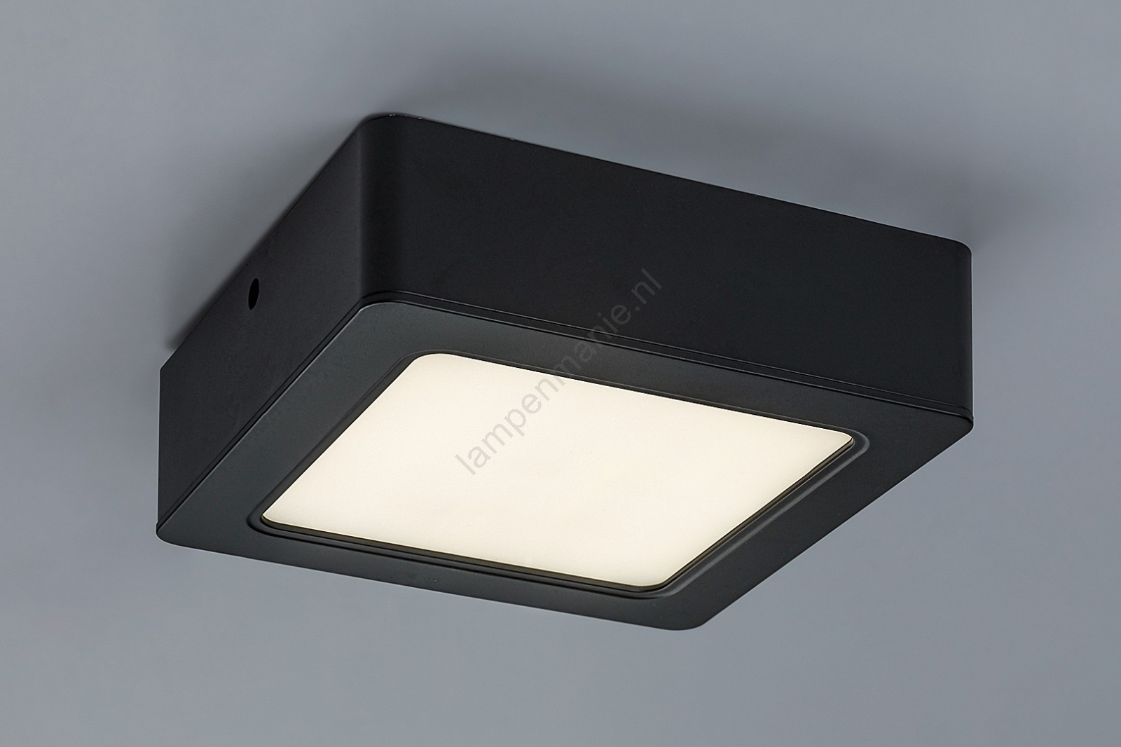 Rabalux 2689 - LED plafondlamp SHAUN LED/12W/230V 14 cm | Lampenmanie